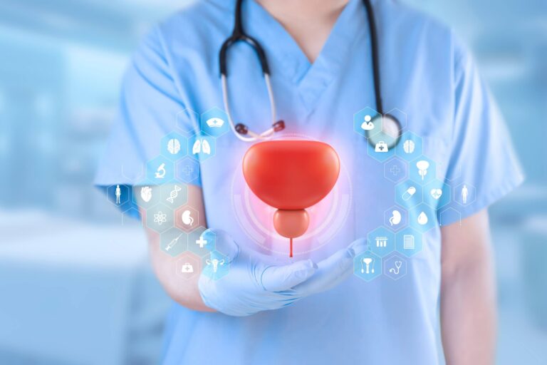 Prostata – die wichtigsten Infos im Überblick